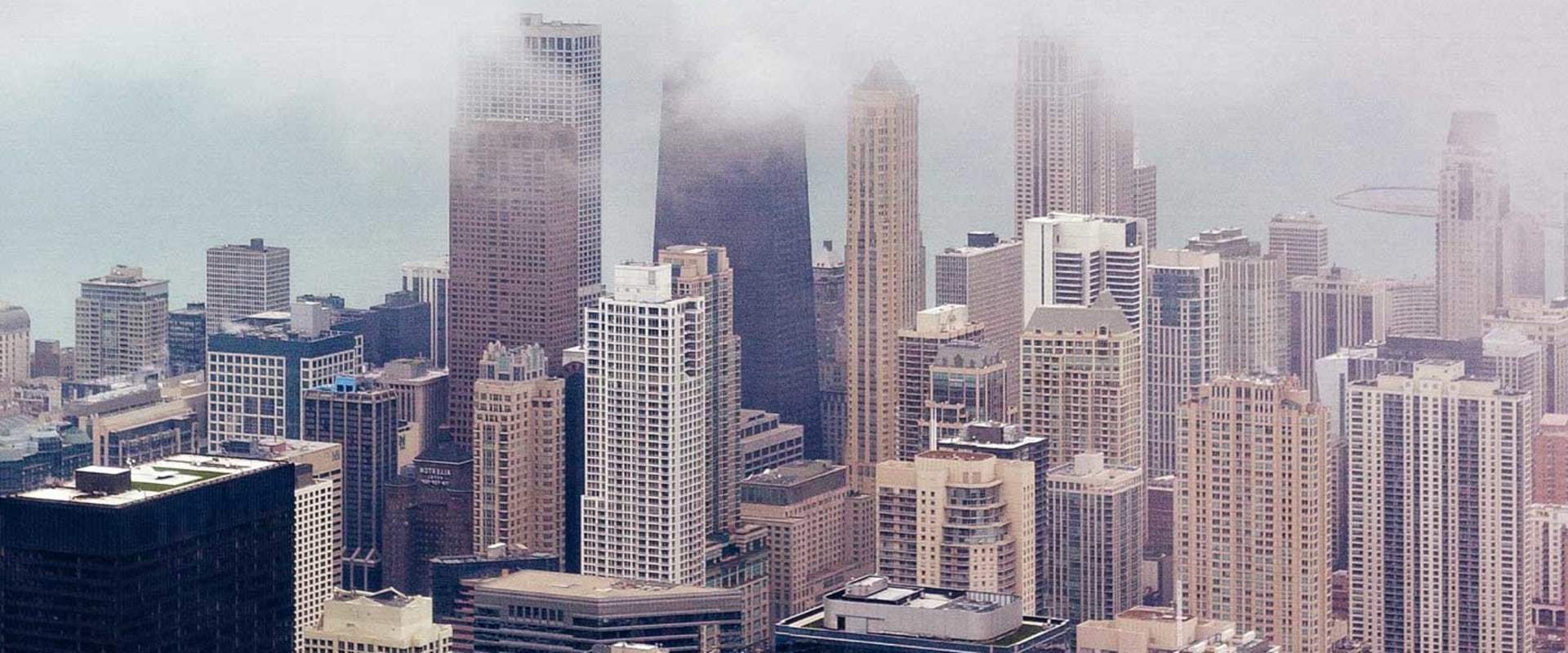 What is local and global search?